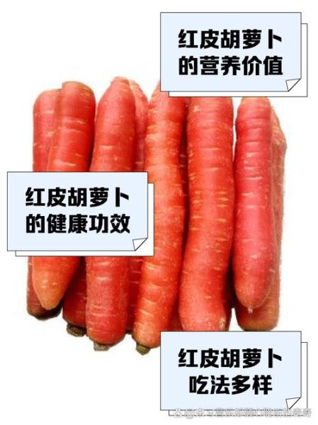 胡萝卜要削皮吗_胡萝卜皮可以吃吗-第1张图片-山城妙识 胡萝卜要削皮吗_胡萝卜皮可以吃吗-第1张图片-山城妙识