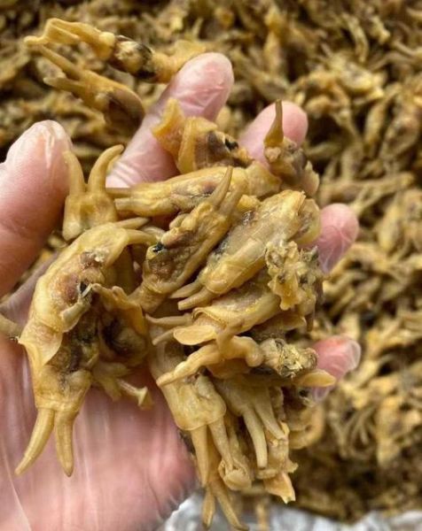 爆炒蛏子干怎么做_蛏子干需要泡发多久-第1张图片-山城妙识 爆炒蛏子干怎么做_蛏子干需要泡发多久-第1张图片-山城妙识