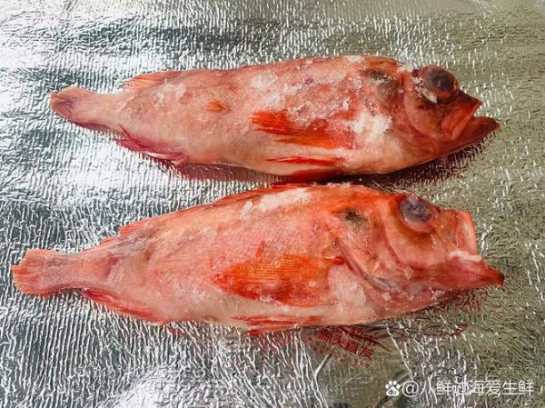 红斑鱼为什么这么贵_红斑鱼多少钱一斤-第1张图片-山城妙识 红斑鱼为什么这么贵_红斑鱼多少钱一斤-第1张图片-山城妙识