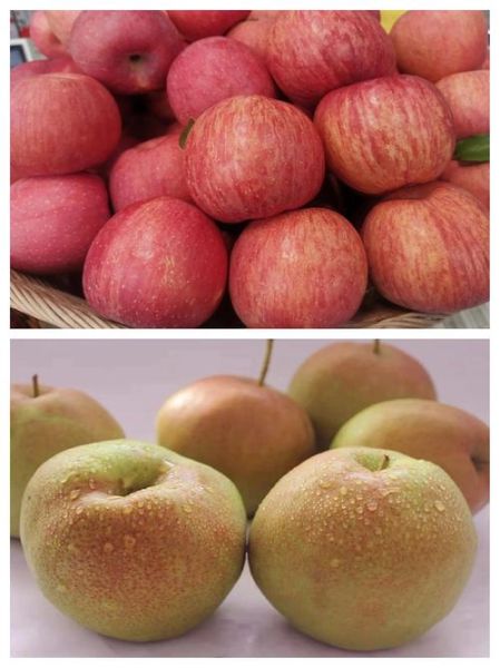 吃什么水果减肥效果最好最快_哪些水果低糖又饱腹-第3张图片-山城妙识