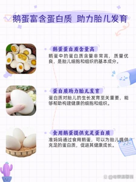 孕妇几个月吃鹅蛋最好_鹅蛋什么时候吃对胎儿好-第2张图片-山城妙识