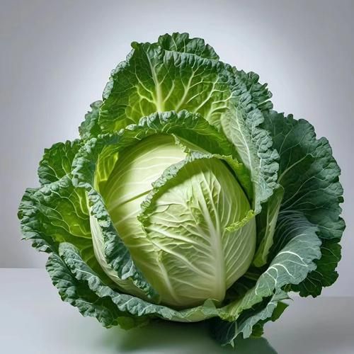 甘蓝菜是什么菜_甘蓝菜和卷心菜的区别-第3张图片-山城妙识 甘蓝菜是什么菜_甘蓝菜和卷心菜的区别-第3张图片-山城妙识