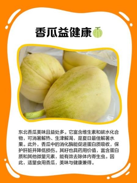东北香瓜图片_东北香瓜怎么挑-第1张图片-山城妙识
