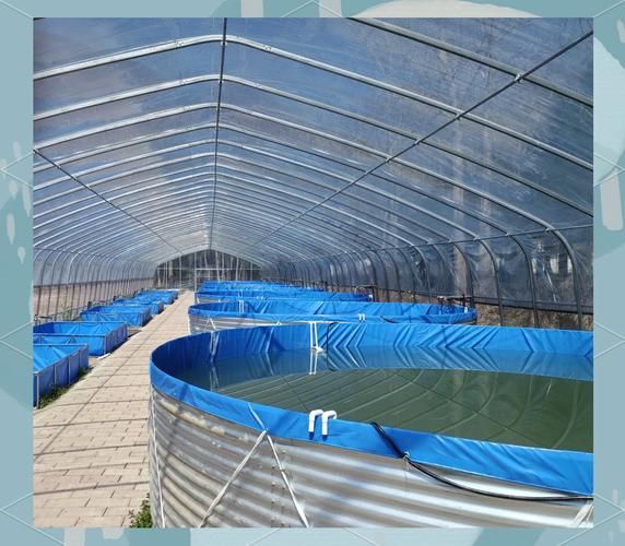 淡水虾养殖基地选址_淡水虾养殖基地如何建设-第3张图片-山城妙识