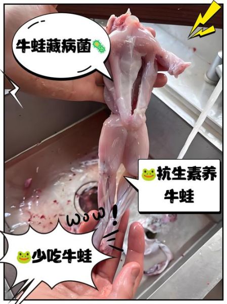 牛蛙寄生虫对人体的危害_如何预防感染-第1张图片-山城妙识