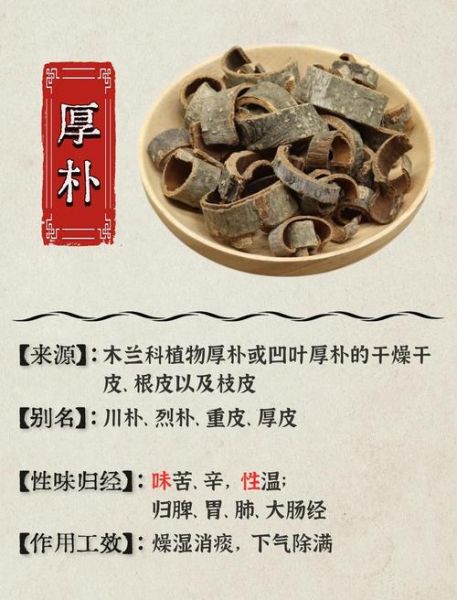 姜厚朴的功效与作用_姜厚朴的禁忌有哪些-第2张图片-山城妙识