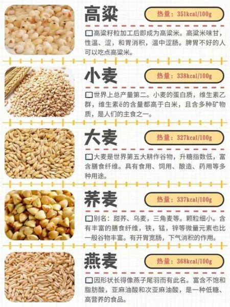 杂粮有哪些种类_五谷杂粮名称大全-第1张图片-山城妙识