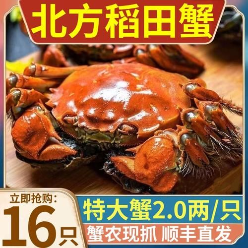 稻田蟹多少钱一斤_稻田蟹价格受哪些因素影响-第2张图片-山城妙识