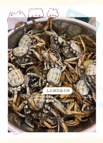 稻田蟹多少钱一斤_稻田蟹价格受哪些因素影响-第3张图片-山城妙识