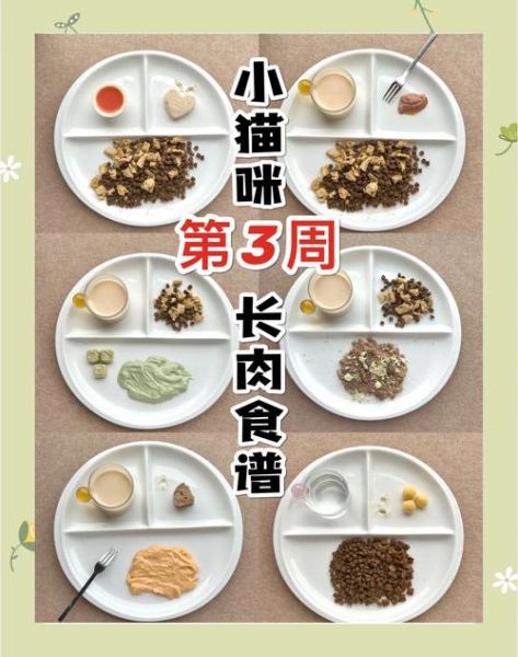 吃什么能长胖_如何快速增重-第1张图片-山城妙识