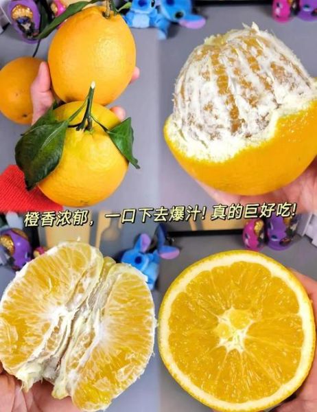 蒸橙子治咳嗽的做法管用吗_蒸橙子止咳原理-第3张图片-山城妙识