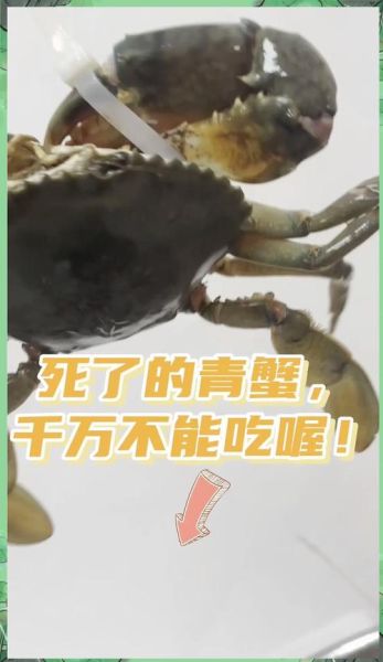 死了半天的螃蟹能吃吗_螃蟹死了多久不能吃-第1张图片-山城妙识