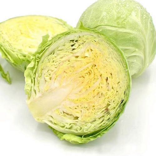 卷心菜图片大全大图_卷心菜怎么挑选最新鲜-第1张图片-山城妙识