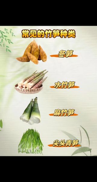 笋分为几种_笋的种类图片大全-第3张图片-山城妙识 笋分为几种_笋的种类图片大全-第3张图片-山城妙识