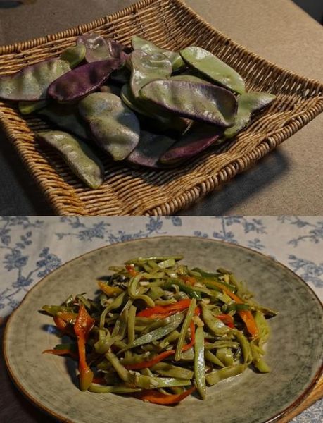 炒扁豆的功效与作用_炒扁豆怎么吃才安全-第2张图片-山城妙识