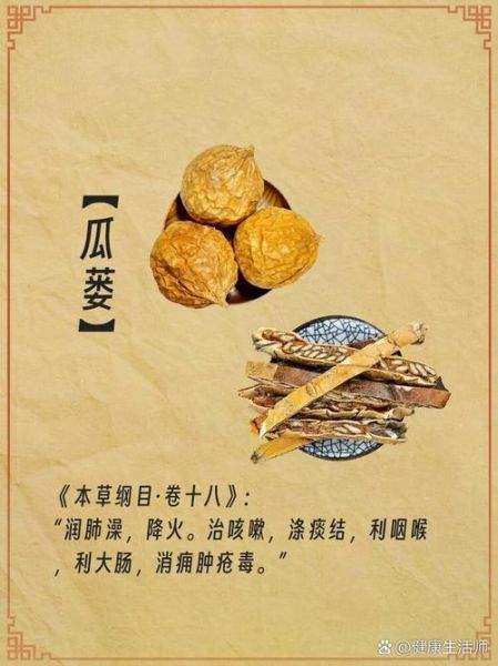 瓜蒌皮的功效与作用_瓜蒌皮怎么泡水喝-第2张图片-山城妙识 瓜蒌皮的功效与作用_瓜蒌皮怎么泡水喝-第2张图片-山城妙识