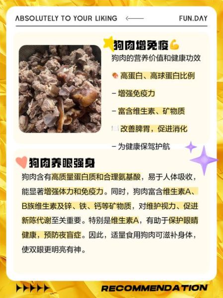 狗肉的功效与作用_狗肉怎么吃最补-第1张图片-山城妙识
