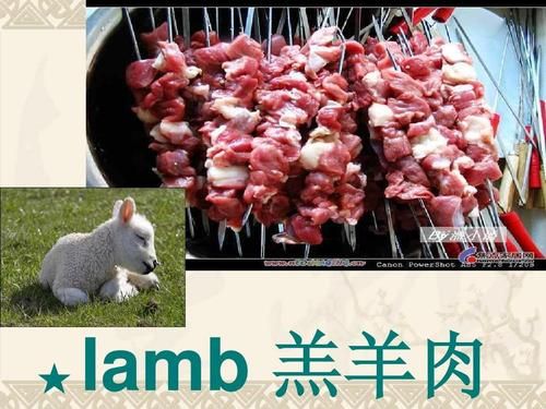 羊肉英语怎么写_mutton和lamb区别-第1张图片-山城妙识