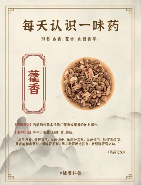 藿香的功效与作用禁忌_藿香什么人不能吃-第1张图片-山城妙识