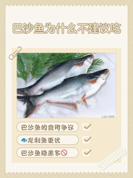 巴沙鱼到底能不能吃_孕妇儿童能吃吗-第1张图片-山城妙识