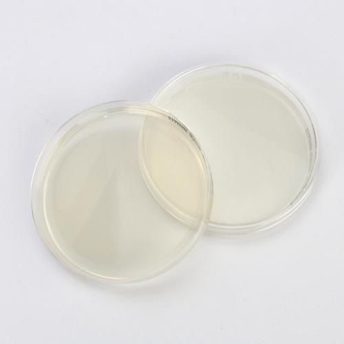 琼脂是什么化学物质_琼脂的化学结构-第2张图片-山城妙识