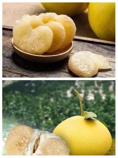 文旦柚和柚子有什么区别_哪个更好吃-第2张图片-山城妙识 文旦柚和柚子有什么区别_哪个更好吃-第2张图片-山城妙识