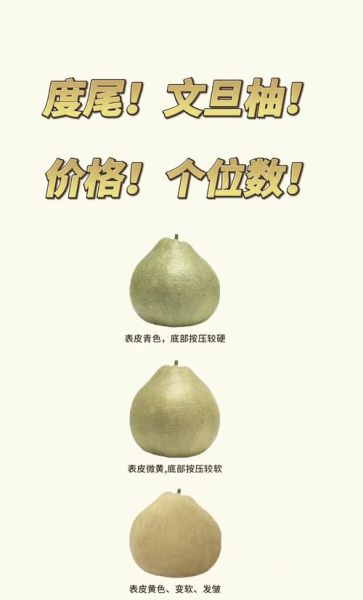 文旦柚和柚子有什么区别_哪个更好吃-第1张图片-山城妙识 文旦柚和柚子有什么区别_哪个更好吃-第1张图片-山城妙识