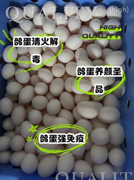 孕妇吃鸽子蛋对胎儿好吗_孕妇吃鸽子蛋的营养价值-第1张图片-山城妙识