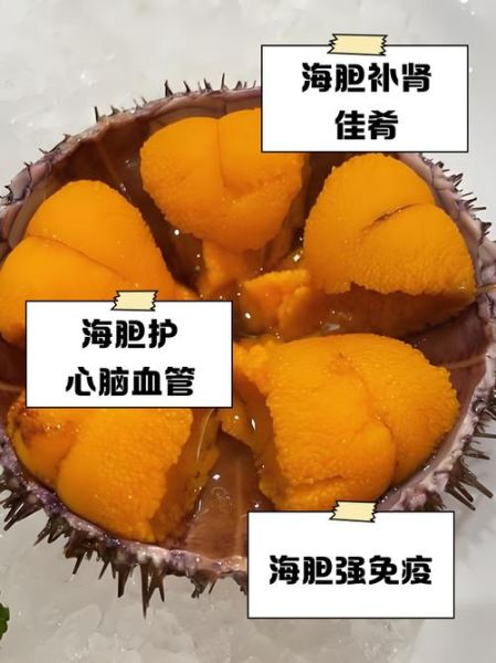 海胆什么人不能吃_海胆禁忌人群-第1张图片-山城妙识