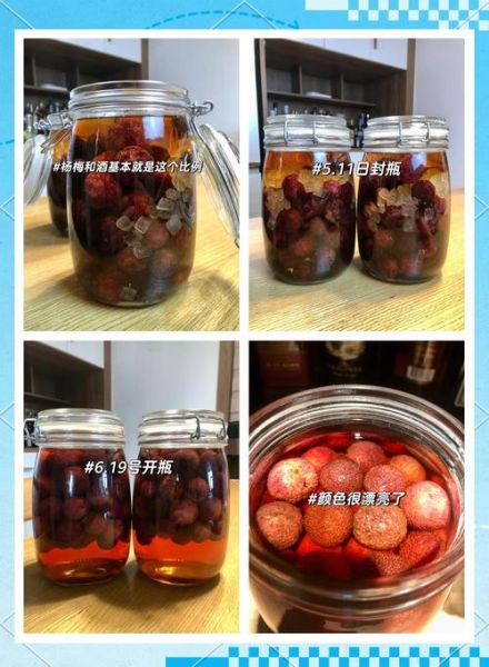 杨梅酒比例怎么配_自制杨梅酒比例多少合适-第3张图片-山城妙识
