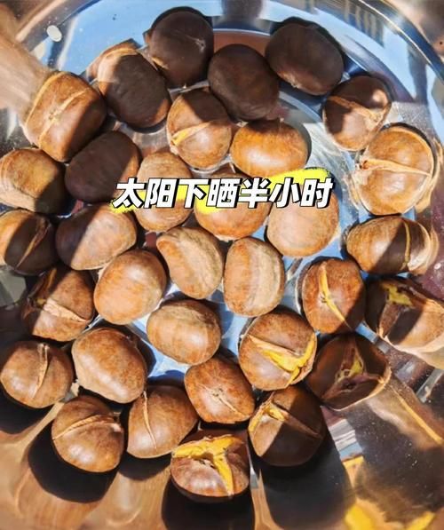 新鲜栗子怎么做好吃_栗子去皮小妙招-第1张图片-山城妙识