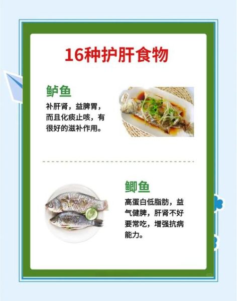 吃什么食物养肝护肝最好_护肝食物排行榜-第1张图片-山城妙识
