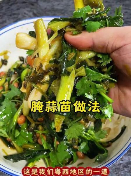 腌蒜苗怎么做_腌蒜苗能放多久-第3张图片-山城妙识 腌蒜苗怎么做_腌蒜苗能放多久-第3张图片-山城妙识