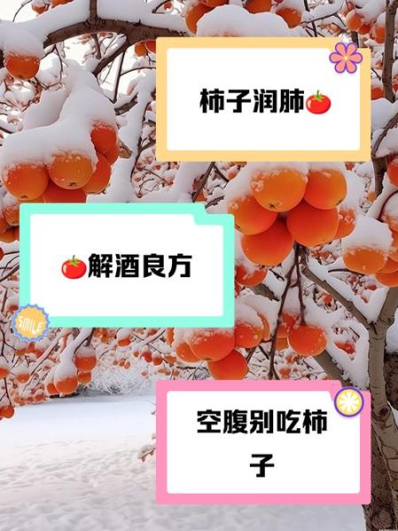 柿子的功效与作用禁忌_吃柿子不能和什么一起吃-第2张图片-山城妙识 柿子的功效与作用禁忌_吃柿子不能和什么一起吃-第2张图片-山城妙识