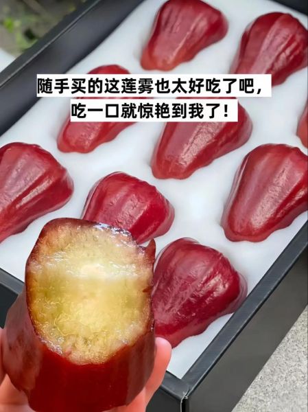 莲雾怎么吃要不要削皮_莲雾皮能吃吗-第2张图片-山城妙识