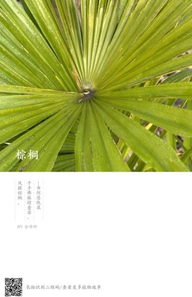 蓑衣是什么_蓑衣的用途有哪些-第1张图片-山城妙识 蓑衣是什么_蓑衣的用途有哪些-第1张图片-山城妙识