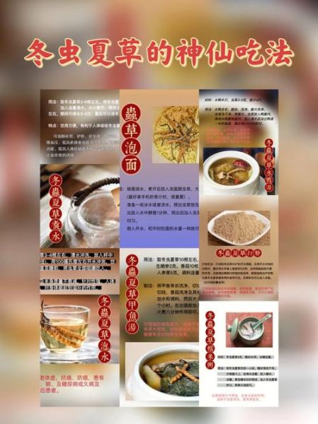 冬虫夏草怎么吃最好_冬虫夏草食用方法有哪些-第2张图片-山城妙识