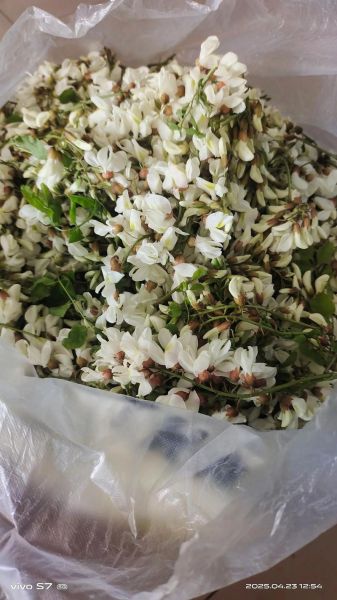 槐花配什么菜包饺子好吃_槐花饺子馅怎么调-第1张图片-山城妙识