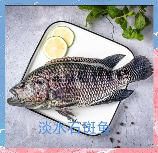 牙鲆和大菱鲆的区别_哪个更好吃-第3张图片-山城妙识