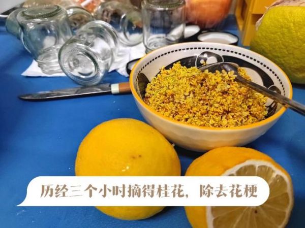 糖桂花什么人不能吃_糖桂花禁忌有哪些-第1张图片-山城妙识