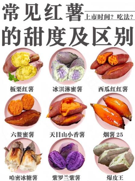 红薯的功效与作用_红薯怎么吃最健康-第3张图片-山城妙识