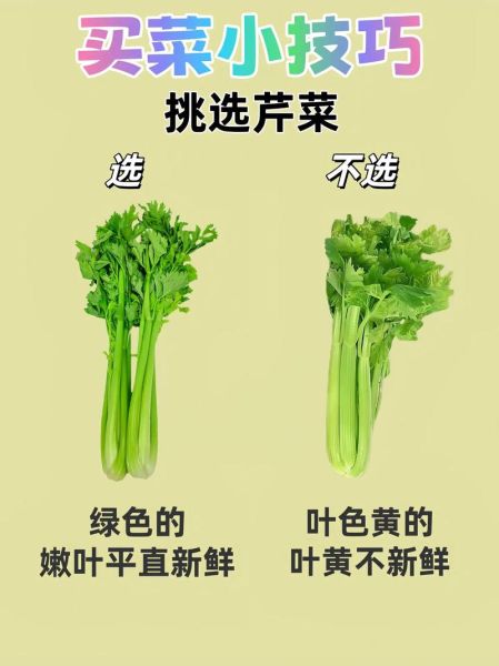 买菜网站哪个便宜_如何挑选新鲜蔬菜-第1张图片-山城妙识