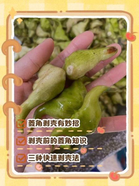 菱角怎么去皮_菱角快速剥皮小窍门-第1张图片-山城妙识