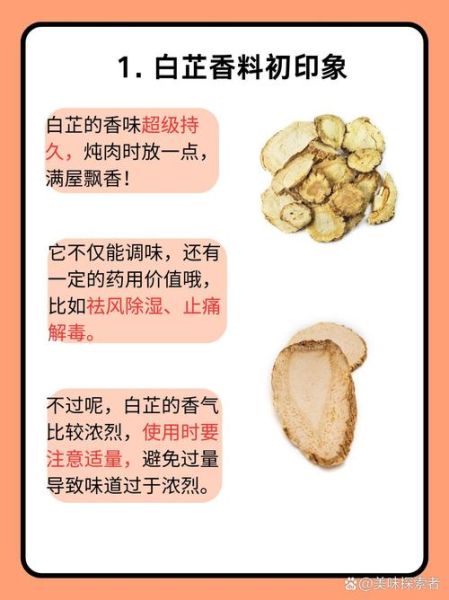 煮大肉用什么调料最好_家常炖肉必备香料-第2张图片-山城妙识 煮大肉用什么调料最好_家常炖肉必备香料-第2张图片-山城妙识