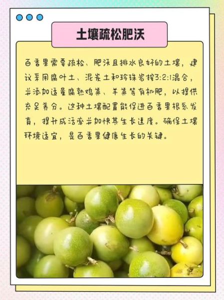 百香果适合什么气候_百香果种植条件有哪些-第3张图片-山城妙识 百香果适合什么气候_百香果种植条件有哪些-第3张图片-山城妙识