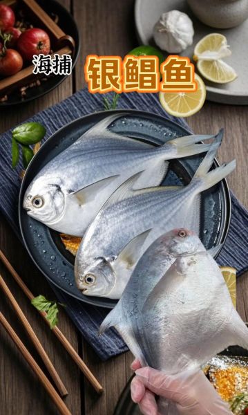 银鲳鱼营养价值_孕妇能吃吗-第1张图片-山城妙识