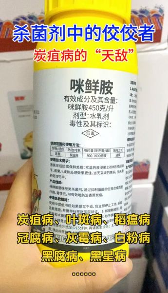 咪鲜胺的作用和使用方法_咪鲜胺防治哪些病害-第3张图片-山城妙识 咪鲜胺的作用和使用方法_咪鲜胺防治哪些病害-第3张图片-山城妙识