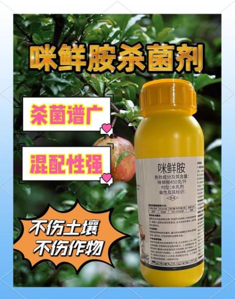 咪鲜胺的作用和使用方法_咪鲜胺防治哪些病害-第2张图片-山城妙识 咪鲜胺的作用和使用方法_咪鲜胺防治哪些病害-第2张图片-山城妙识