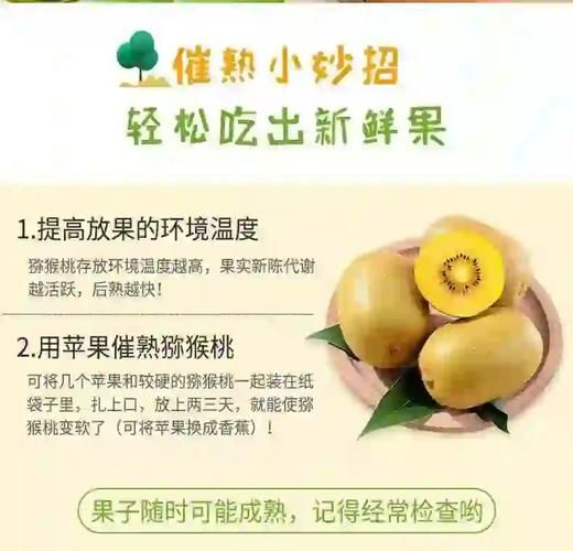 猕猴桃怎么催熟最简单_猕猴桃催熟最快的方法-第2张图片-山城妙识