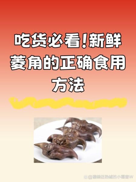 菱角不能和什么一起吃_菱角怎么吃才安全-第2张图片-山城妙识